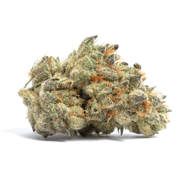 Purple Jack | Marihuana Sorten Infos | Spliffmeister